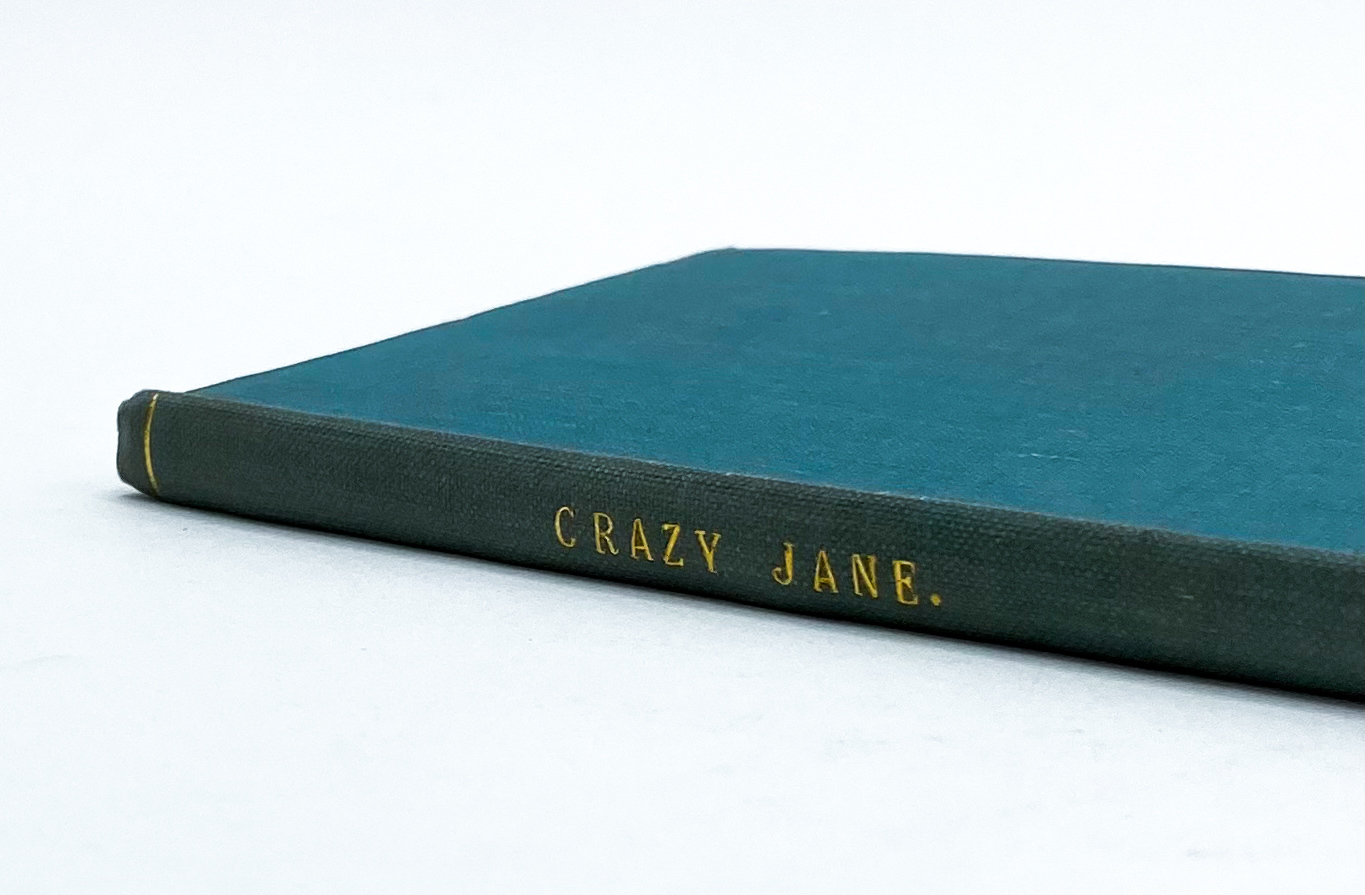 THE HISTORY OF CRAZY JANE | Sarah Wilkinson, Thomas Bewick