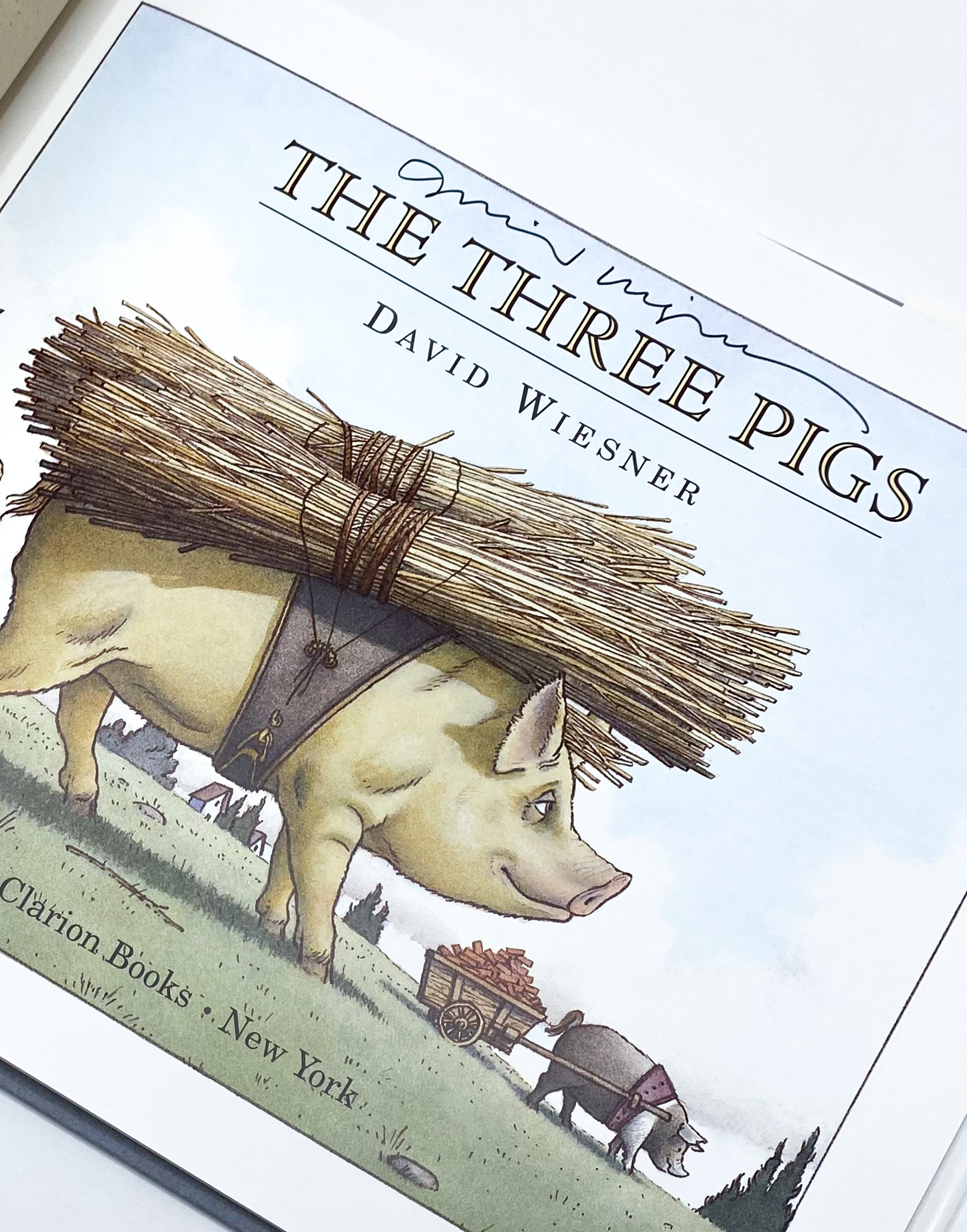 THE THREE PIGS | David Wiesner | First edition